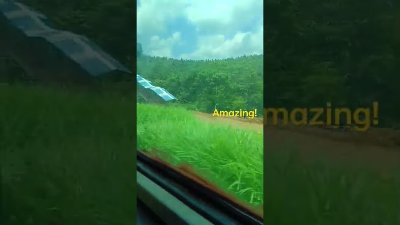 Amazing Youtube