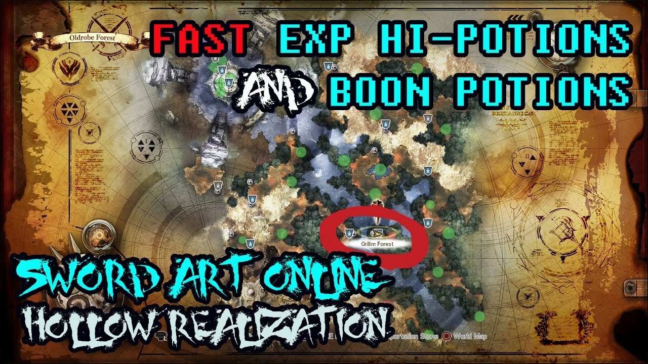 Sword Art Online: Hollow Realization Fast Exp Hi-Potions and Boon ...