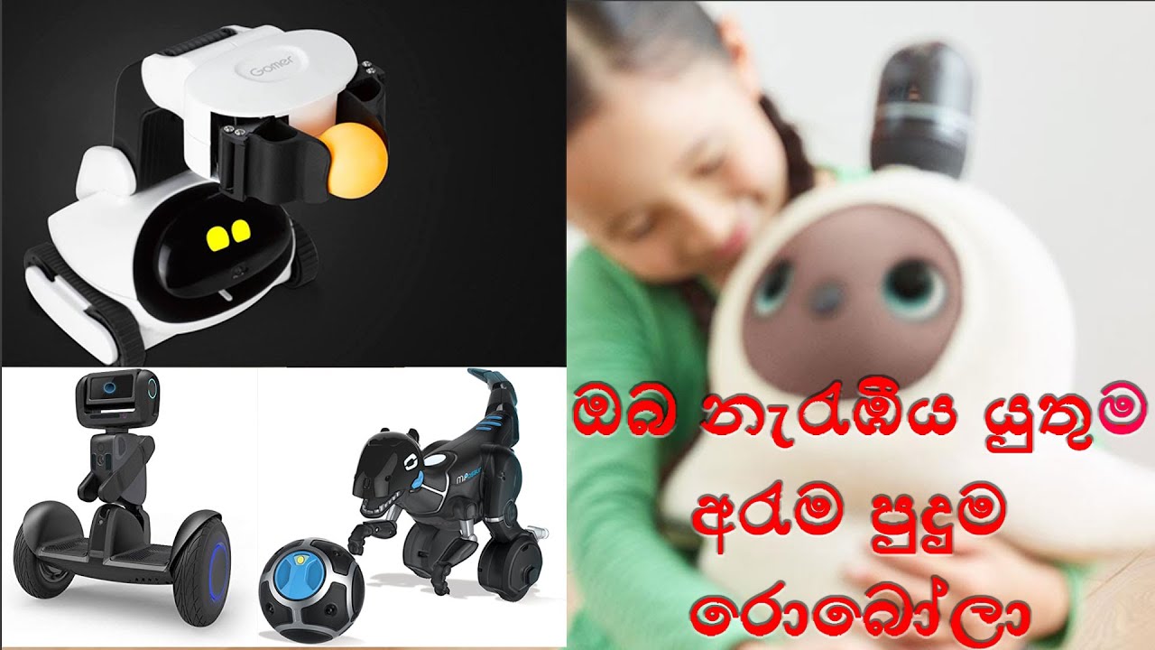 AMAZING ROBOTIC GADGETS | ඔබ නැරැඹීය යුතුයම අරැම පුදුම රොබෝලා - YouTube