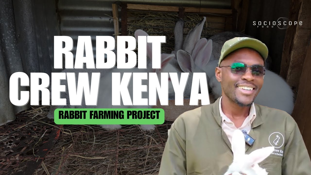 Rabbit Farming in Kenya: Meat Production and Consumption - Rabbit Crew ...