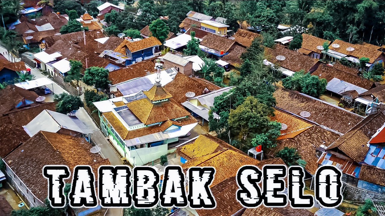 Tambak selo desa pasekan | ambarawa semarang | view drone - YouTube
