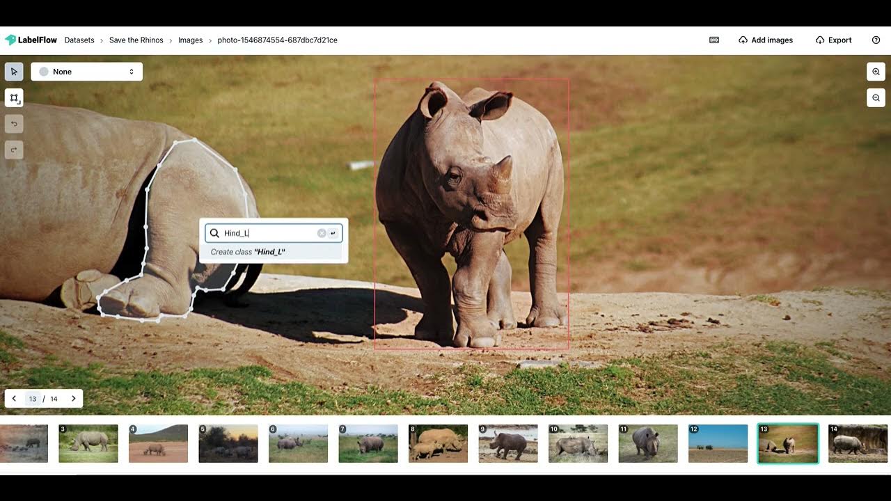 Create New Class & Taxonomy - Tips - LabelFlow - YouTube