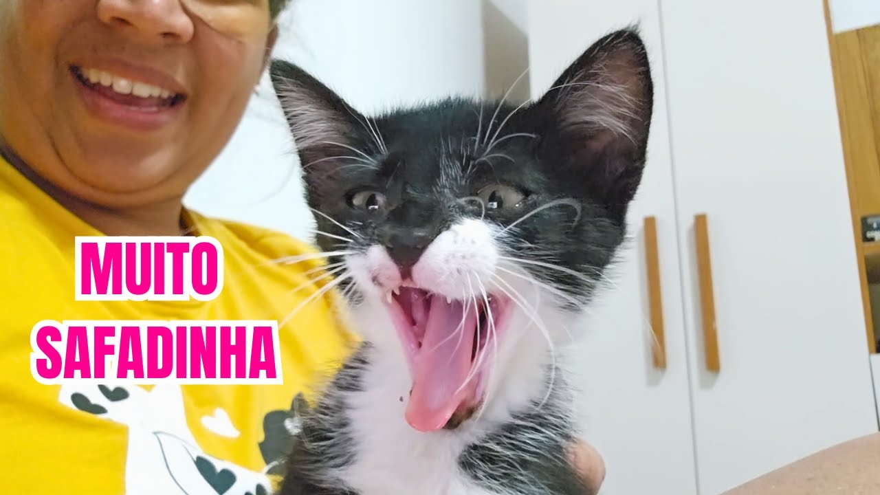 Como está sendo a ROTINA de LOBINHA - PRIMEIRAS 24 HORAS - YouTube