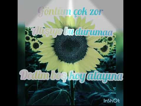 Kürşat Juan-Alayına Sözleri