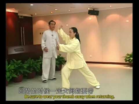 Yang Style Tai Chi 85 Forms. Master Zhao Youbin. Part 17 - YouTube