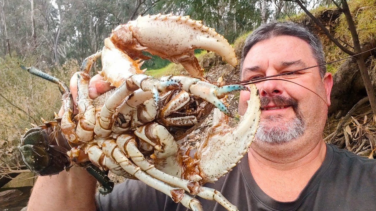 Crayfishing Adventure; Exploring A New Crayfish Spot - YouTube