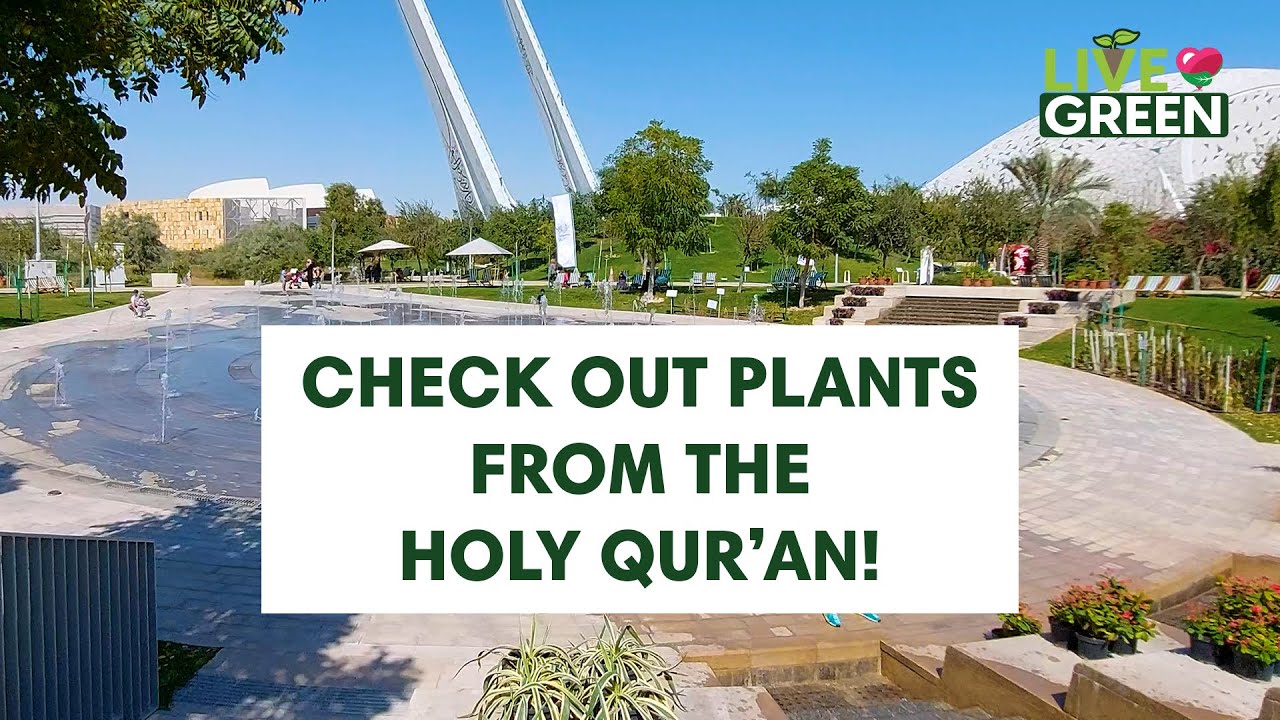 Have you heard of the Qur'anic Botanic Garden in Qatar? | Live Green ...