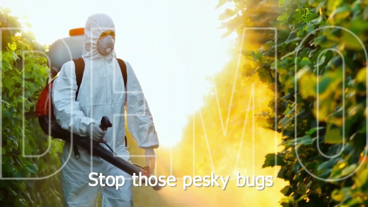Pest Control Exclusive video - YouTube