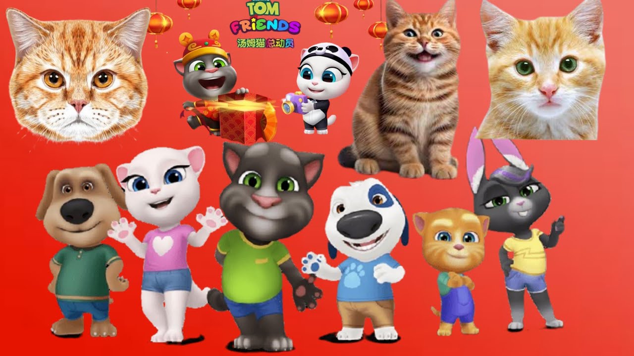 My Talking Tom Friends 🌴 Talking Tom Shorts Compilation || Funny Cat ...