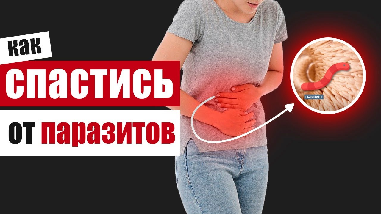 Как спасти организм от паразитов Youtube
