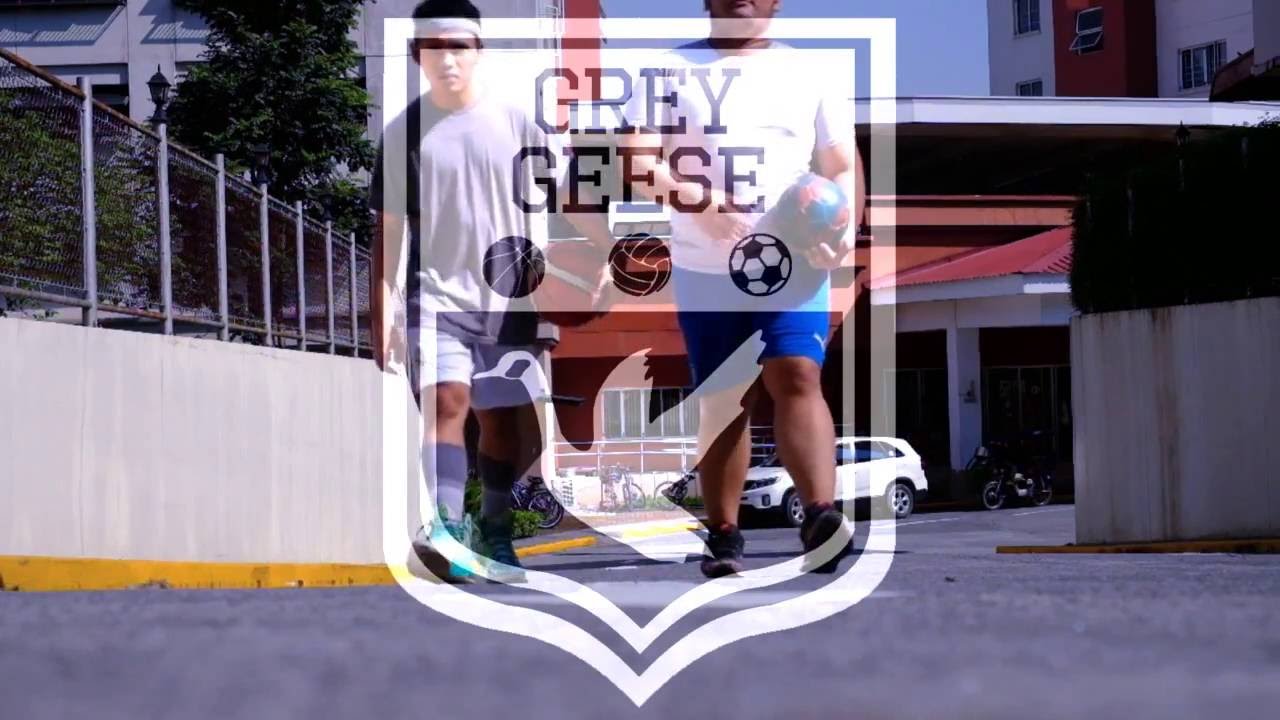 Grey Geese Taunt Video - YouTube