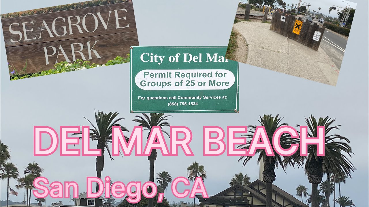 Del Mar Beach | Playa del Mar | SERIE DE PLAYAS EN SAN DIEGO, CA, E.U.A ...