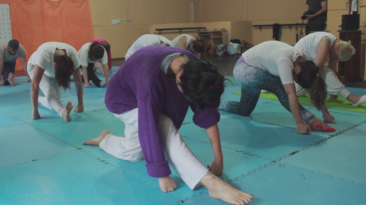 Bidala Namaskar. Namaskar del Gato. Cat Salutation - YouTube