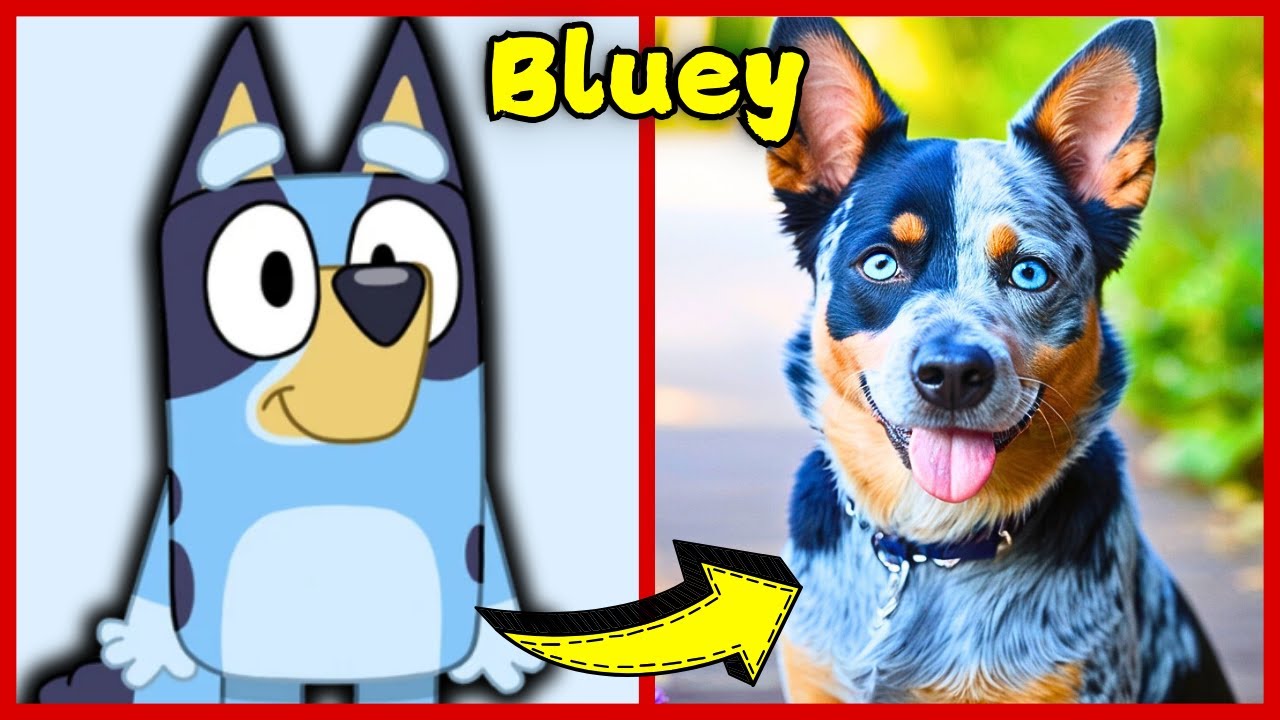 BLUEY en LA VIDA REAL😍+ ¡ADIVINA LA VOZ!😀Bluey💙Bingo ️Bandit🥰Socks💙 ...