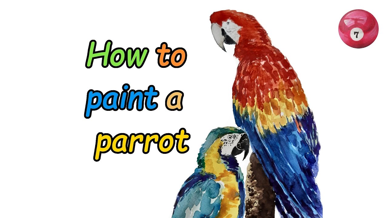 How To Paint A Parrot YouTube How To Paint A Parrot YouTube