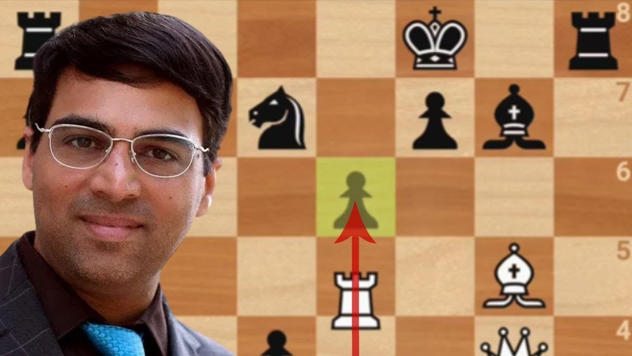 Daring Sacrifice! Viswanathan Anand Vs. Victor Bologan, 2003 - YouTube