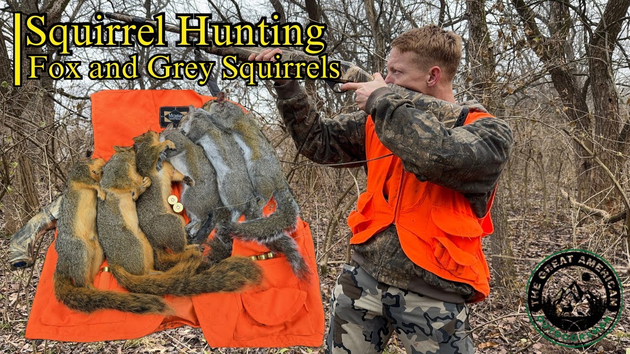 Squirrel Hunting | Fox and Grey Squirrels - YouTube