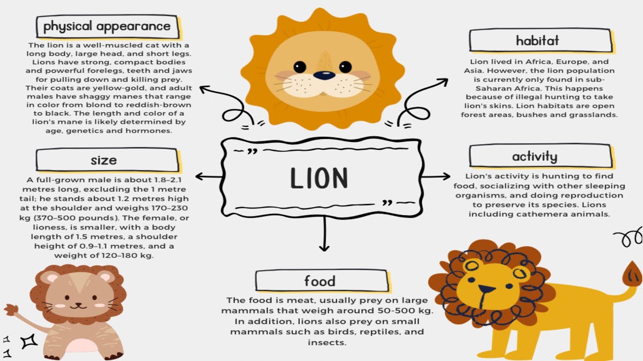 Report Text | Lion - YouTube