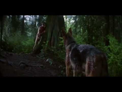 Bad Moon (1996) movie Tribute