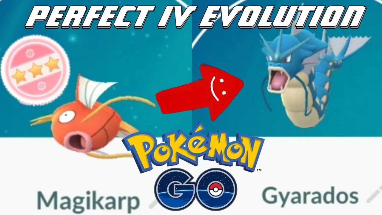 Evolution Of Perfect IV MAGIKARP to GYARADOS in POKEMON GO - Best ...