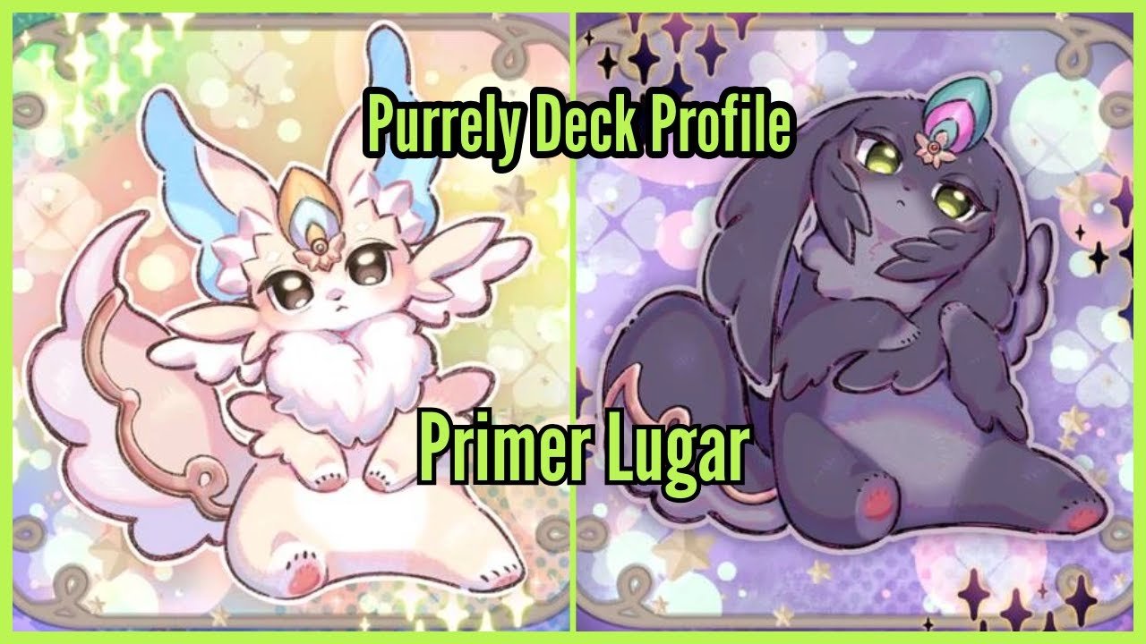 Purrely Deck Profile 1er Lugar Torneo Local YuGiOh Argentina - YouTube