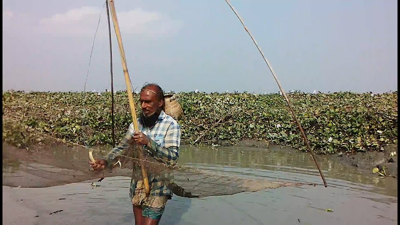 Fishing Village People! Catching Fish With Hand & Net In Small Canal ...