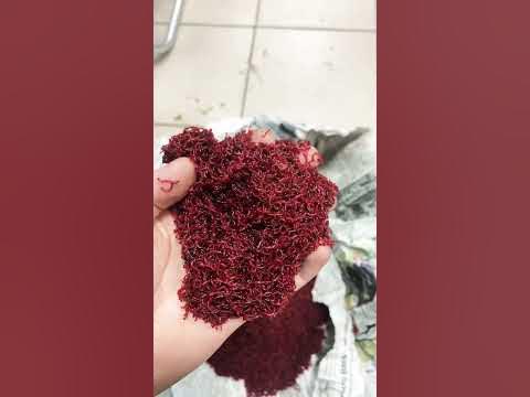 Кормовой мотыль - YouTube