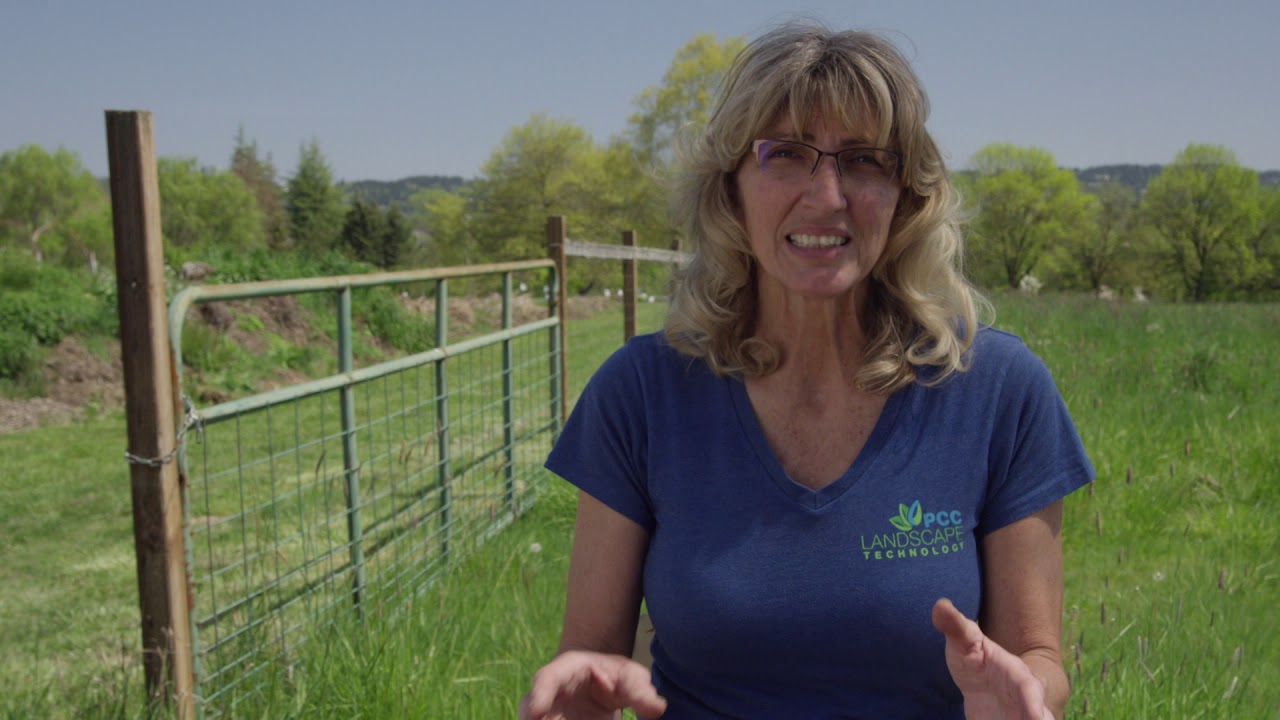 Beekeeping with Anne LeSenne - YouTube