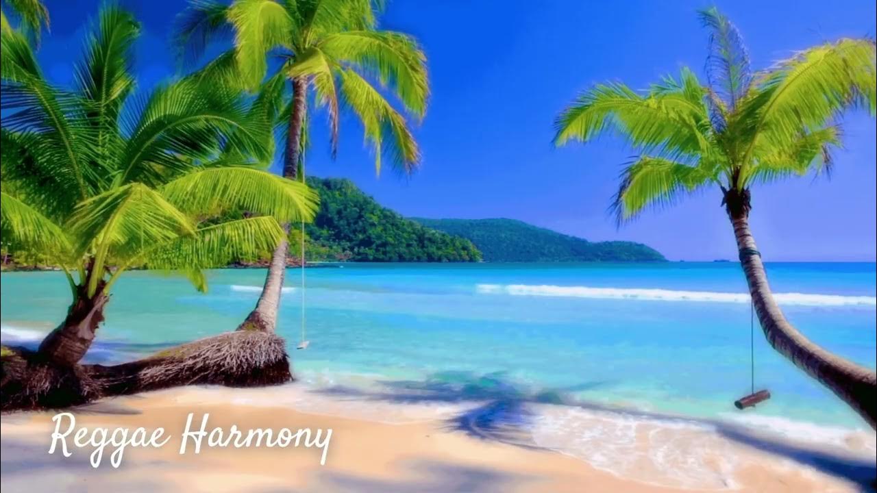 Relaxing Reggae Music | Chill Vibes for Meditation, Focus, and Stress Relief - YouTube