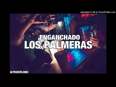 LOS PALMERAS ✘ ENGANCHADO ✘ REMIX FIESTERO ✘ PECHITO REMIX 🌴
