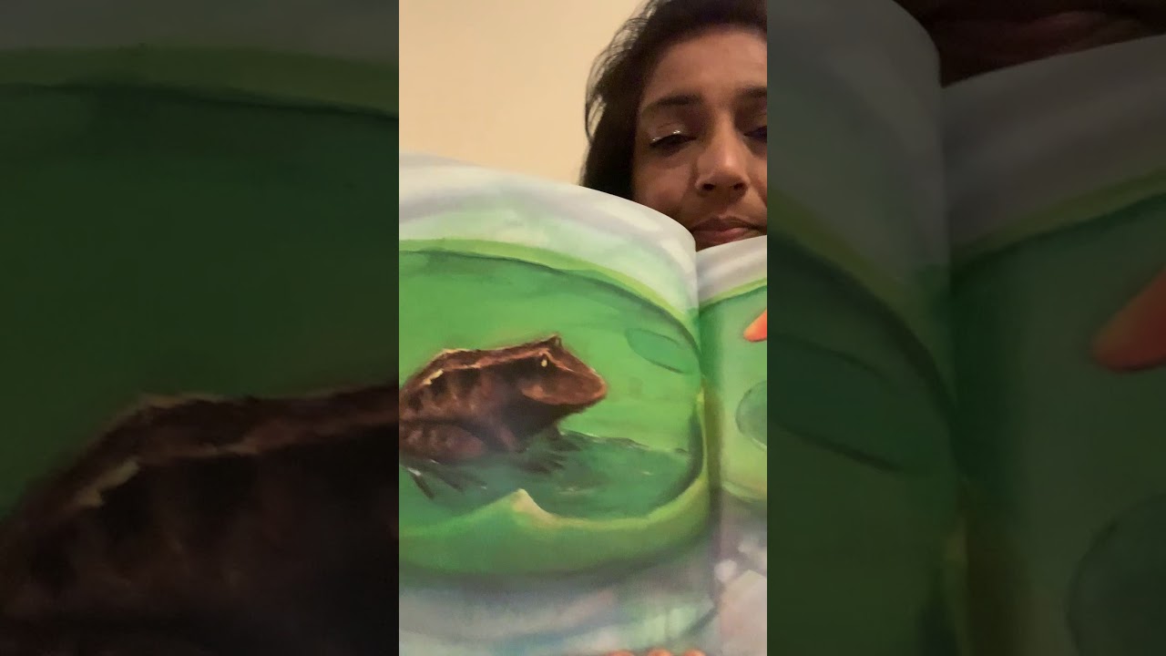 Story Time Youtube