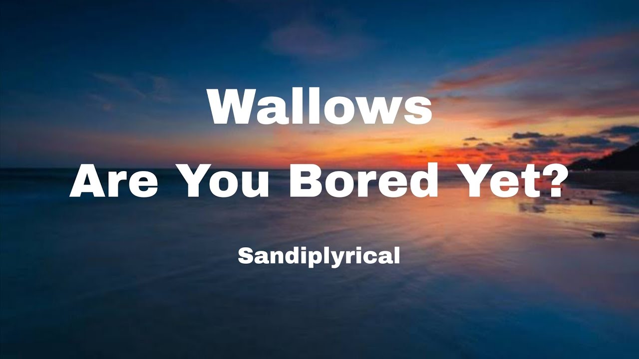 Are You Bored Yet? (Wallows) Sandiplyrical - YouTube
