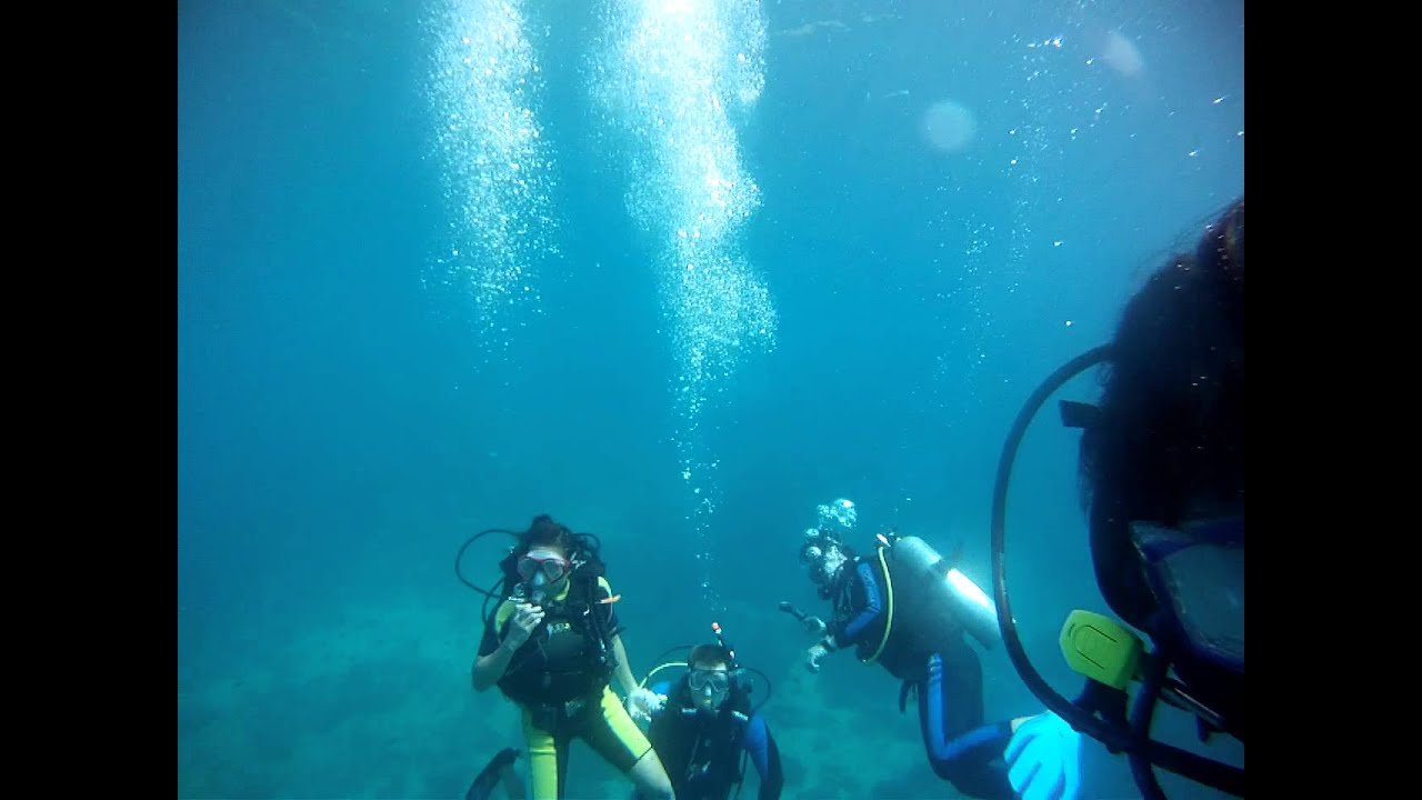 Diving in Muscat, Oman - YouTube