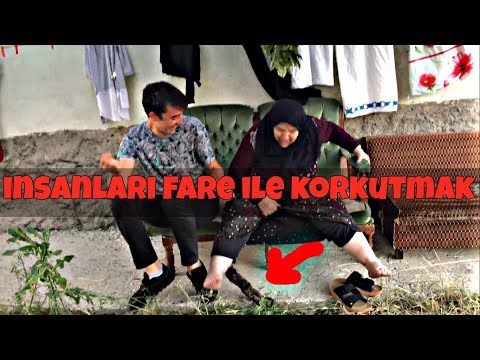 DÜNYANIN EN KORKUNÇ FARE ŞAKASI!
