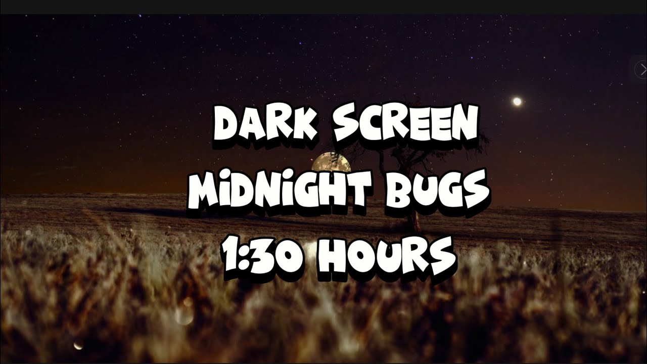 Midnight bugs melody - YouTube