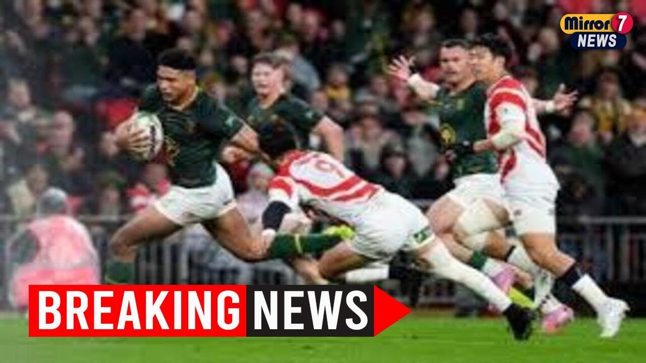 France Seeks Revenge as Springboks Return to Paris - YouTube