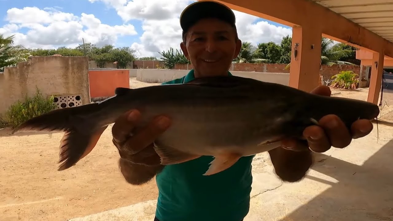 MUITO PEIXE NA DESPESCA DA SEMANA SANTA! - YouTube
