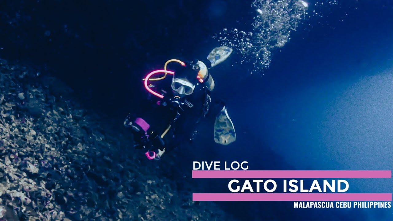 GATO ISLAND | MALAPASCUA CEBU | DIVE LOG - YouTube