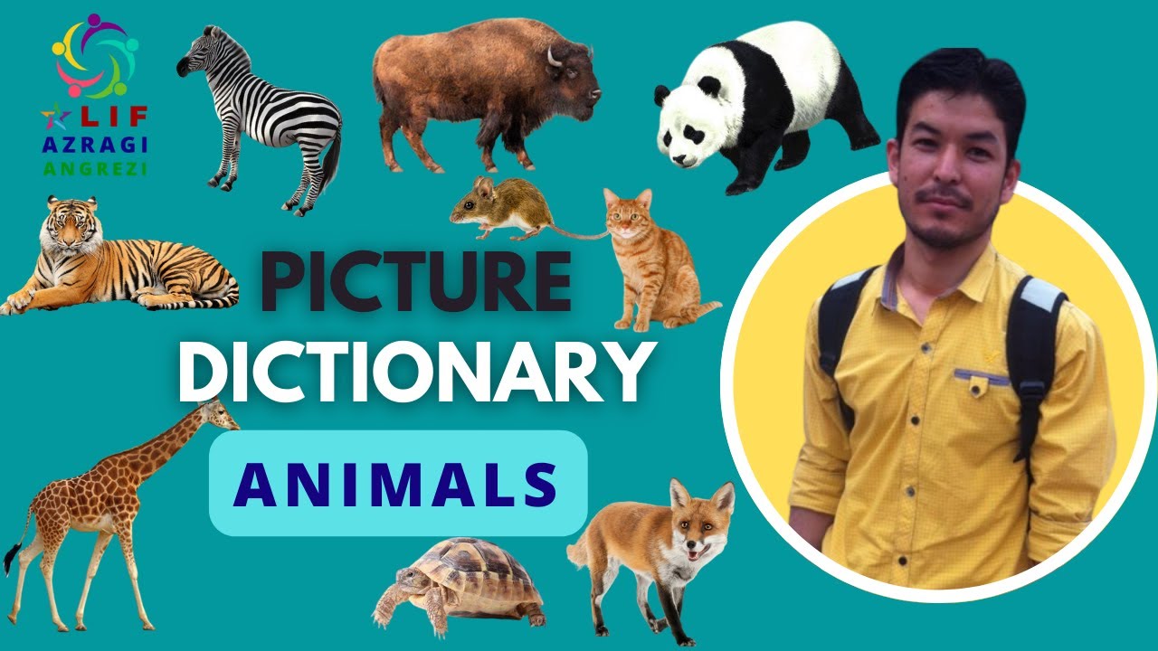 Animals: Names of Animals in English - Lesson 05 | Picture Dictionary ...