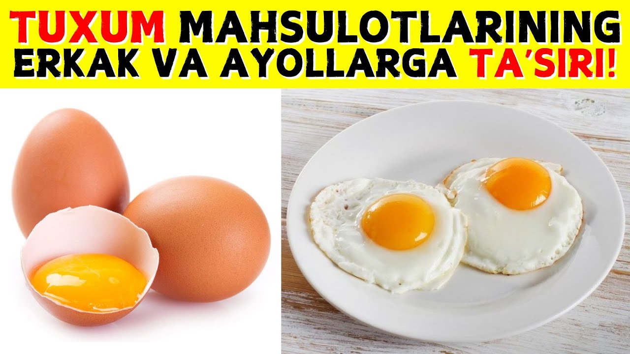 TUXUM ISTEʼMOLI QANCHALIK FOYDALI VA ZARARLI? - YouTube