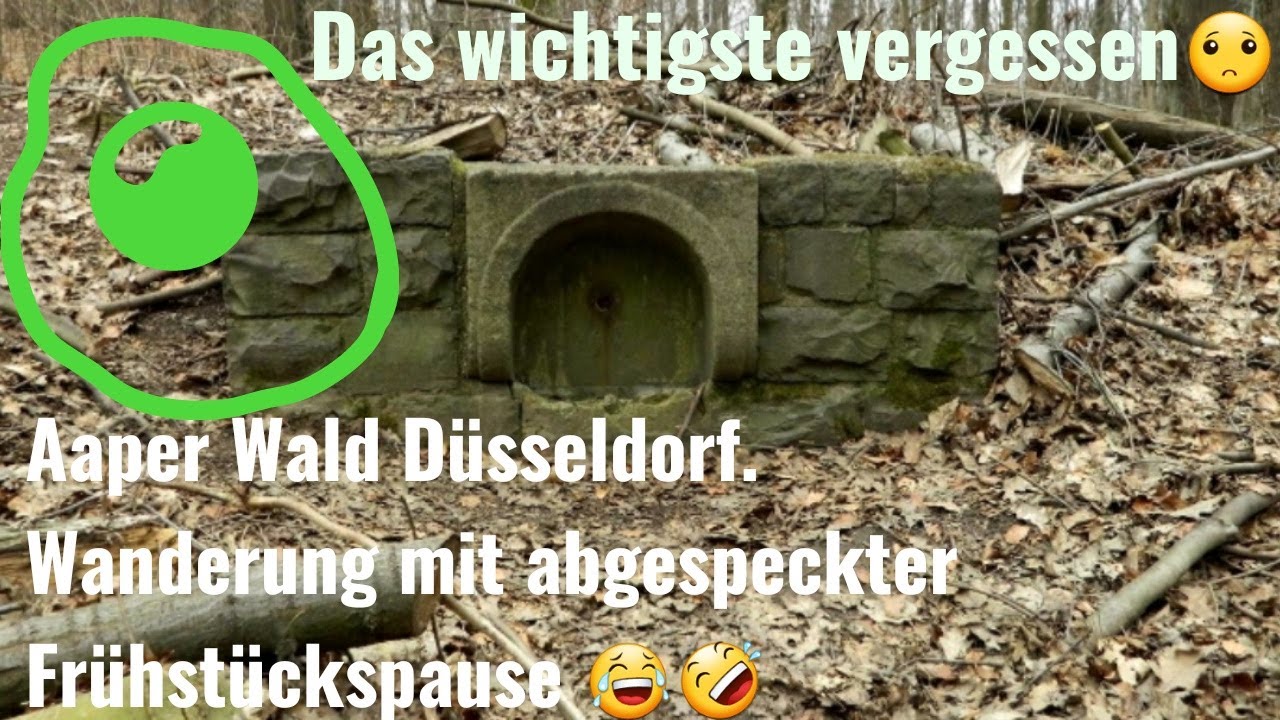 Wanderung im Aaper Wald Düsseldorf - YouTube