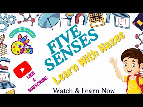 Learn Senses/Five Senses/What are Senses /Learn with Hazee/Creative ...