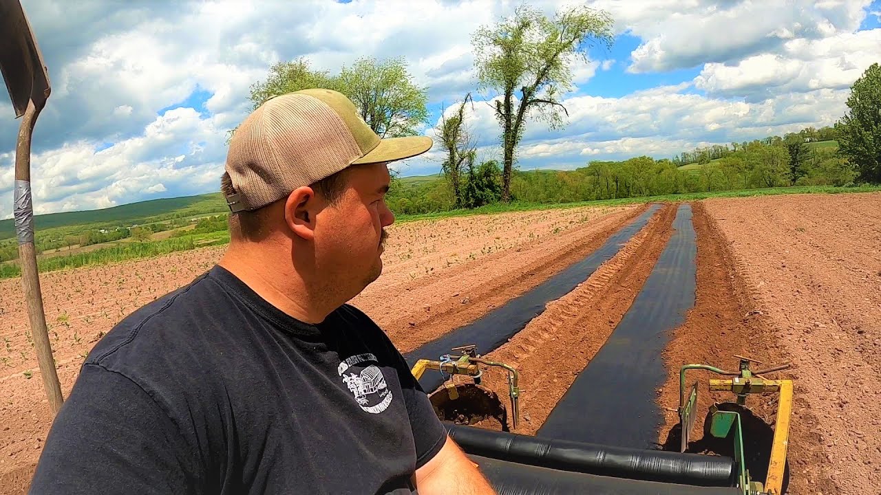 LAYING BIODEGRADABLE MULCH FOR PLANTING VEGETABLES 2022 - YouTube