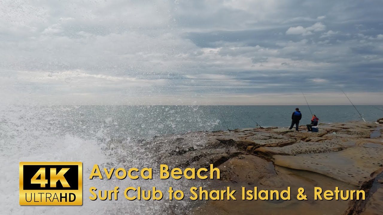 Avoca Beach | Surf Club to Shark Island & Return | 4K UHD Video Walk ...