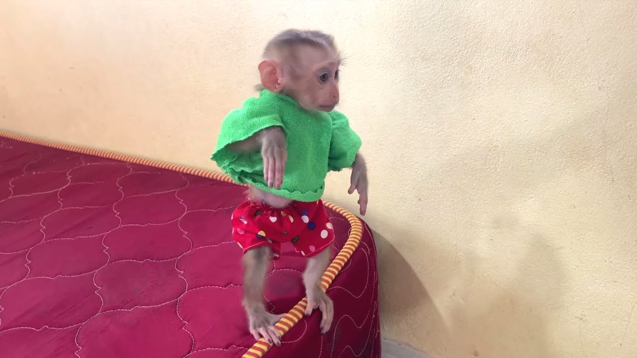 Baby Jessa Trying To Stand For The Mirror Reflection From Far - YouTube