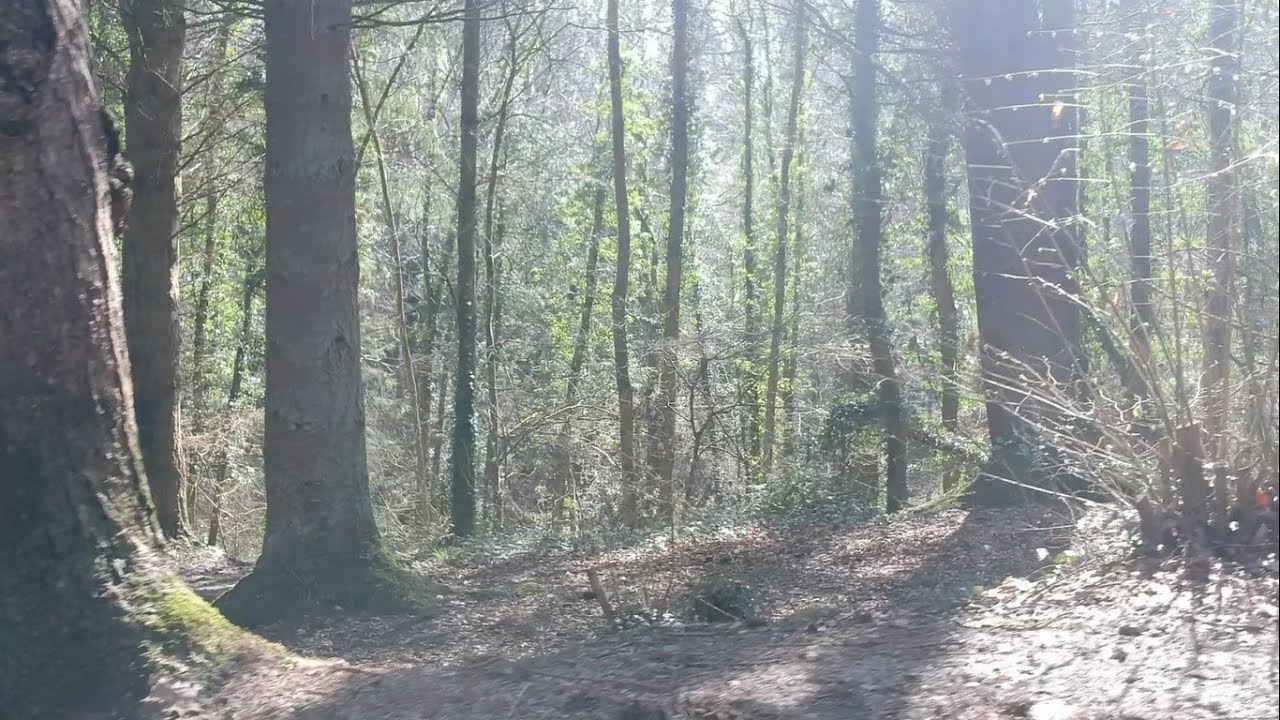 Ruined Castle in the Woods (Through Wepre Park) - YouTube