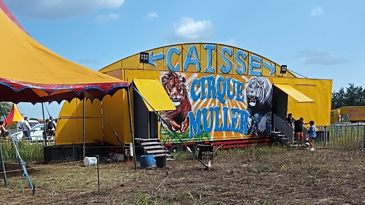 cirque zavatta Muller - YouTube