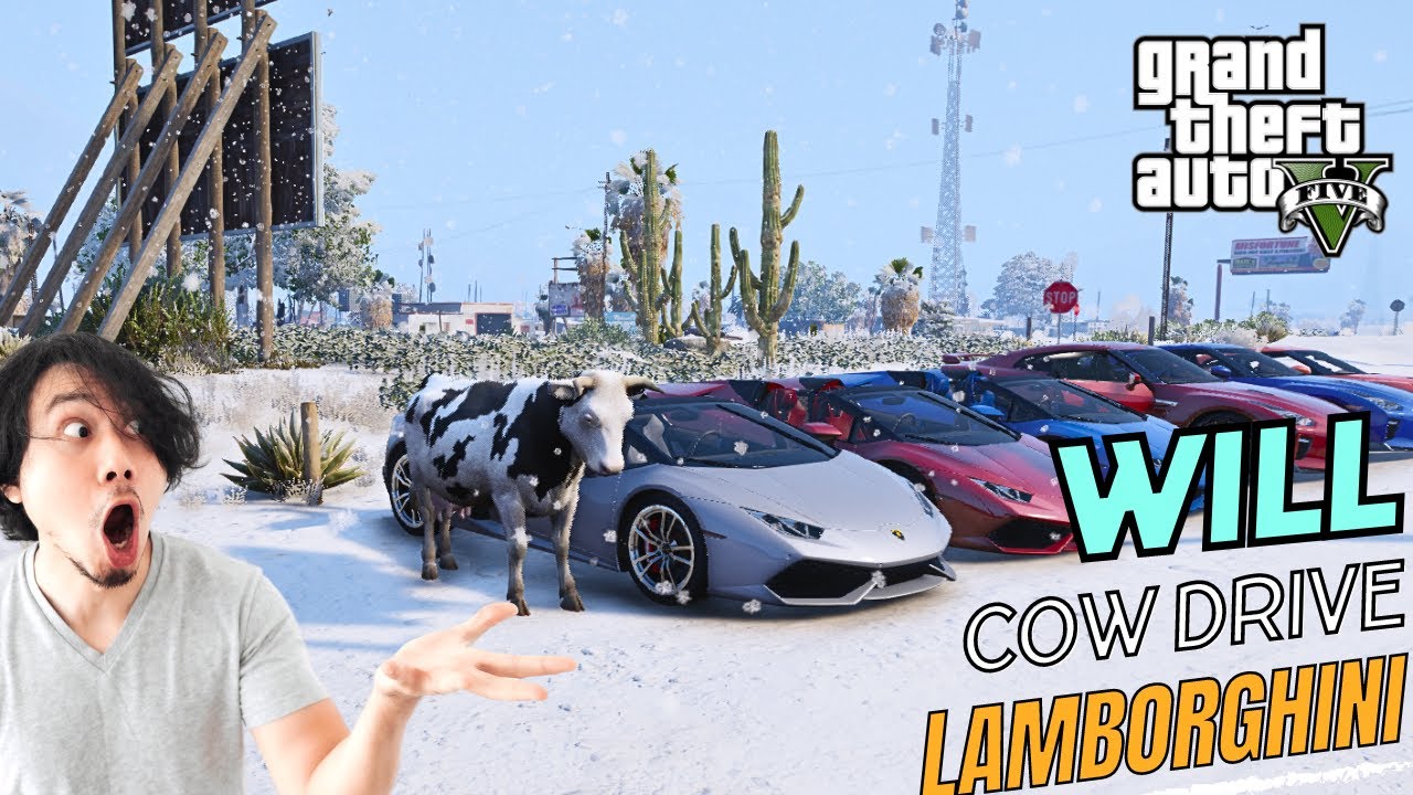 WILL COW DRIVE LAMBORGHINI CAR EPIC SCENE | Grand Theft Auto 5 - YouTube