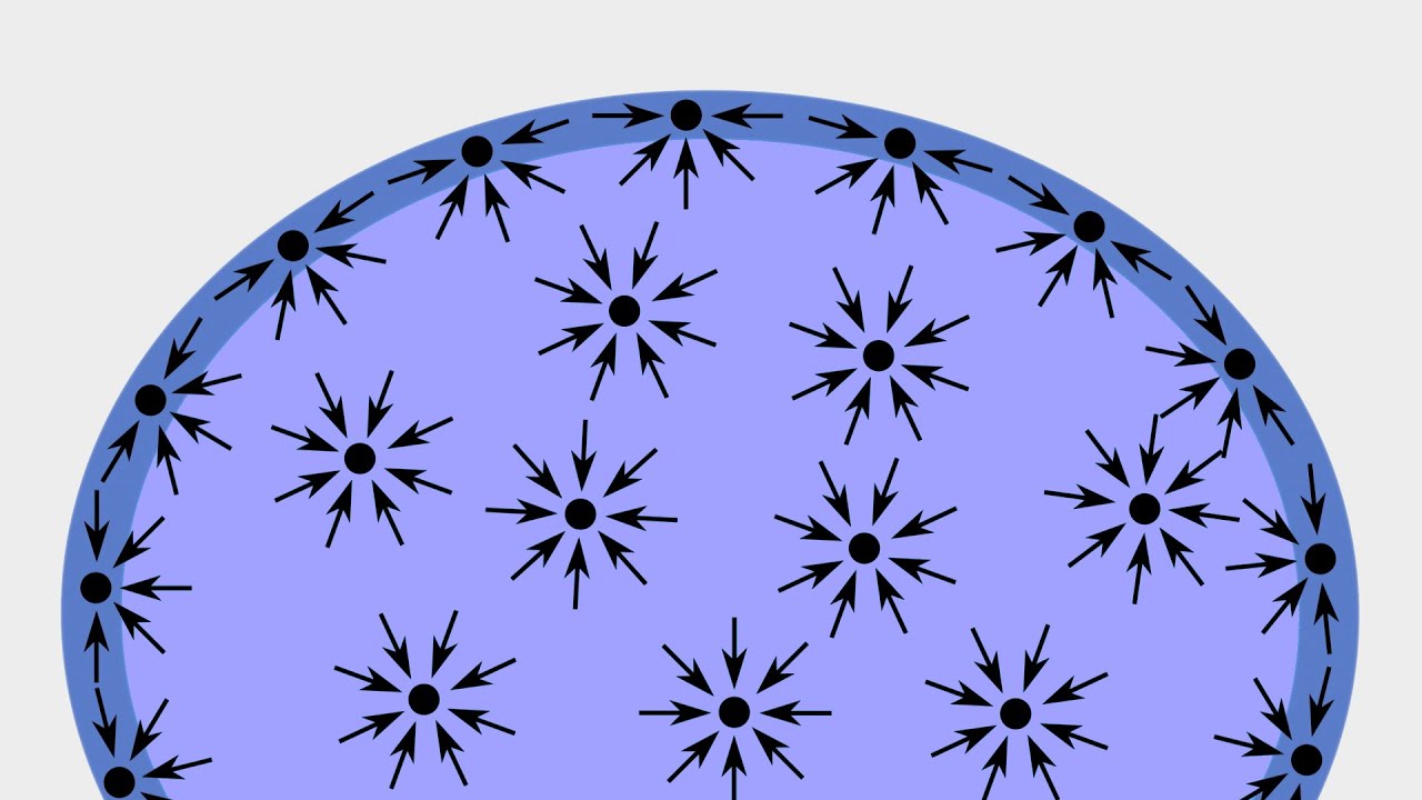 Tensión Superficial - YouTube