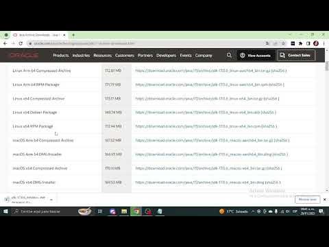a java exception has occurred al crear un servidor de MC (tambien para ...